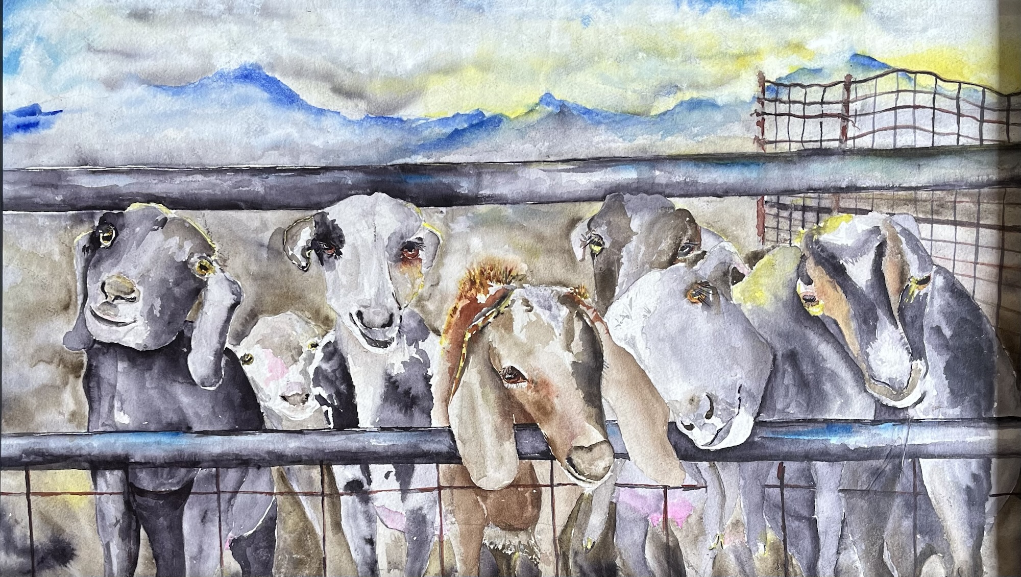 Paintings in NOW show Port Angeles Library – Wovenwind Arts